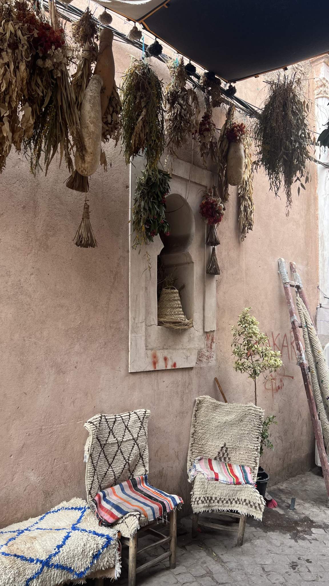 8 Top Things to Do in Marrakech – yourtravelsage